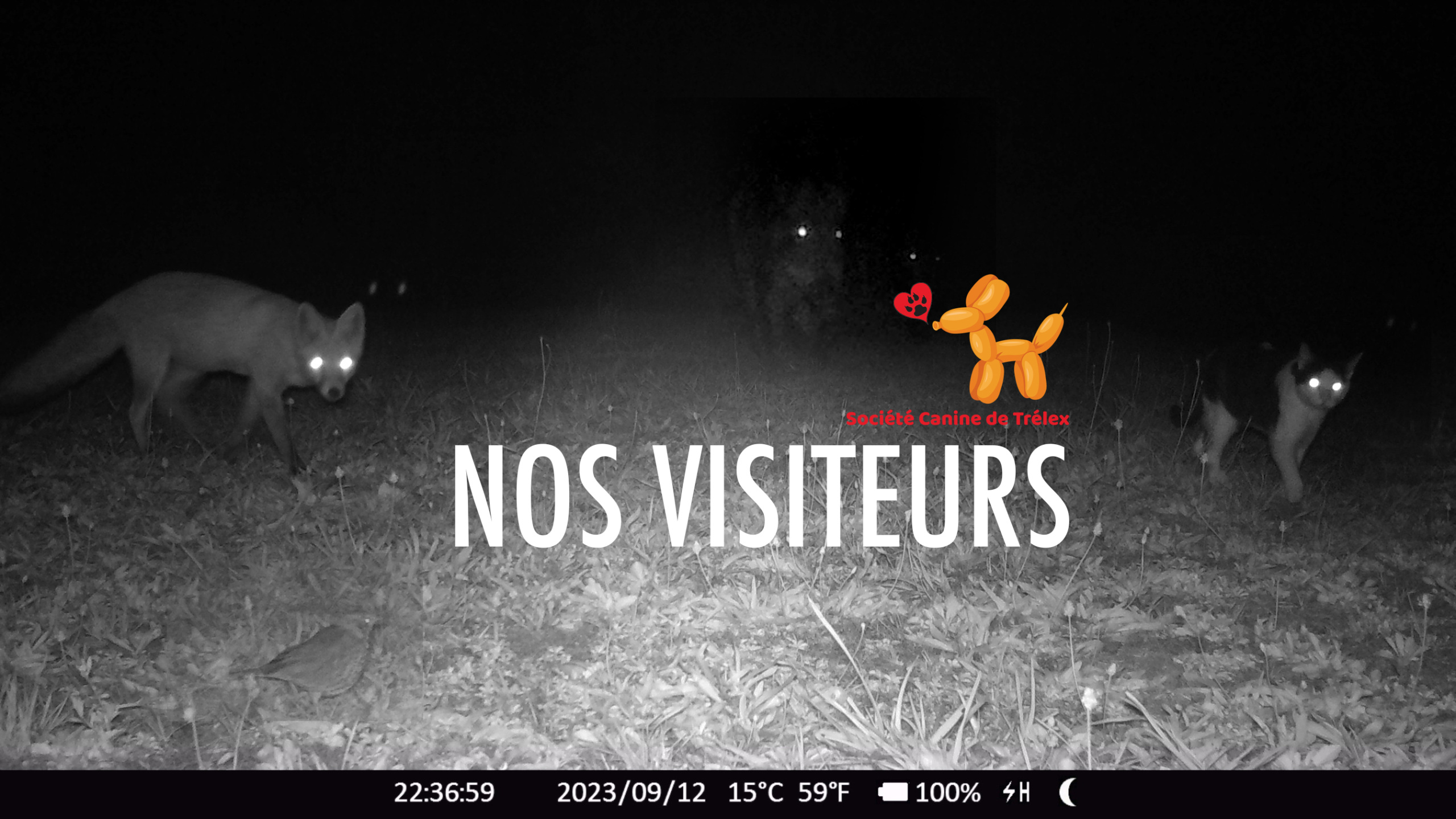 Nos Visiteurs ! - Société Canine de Trélex